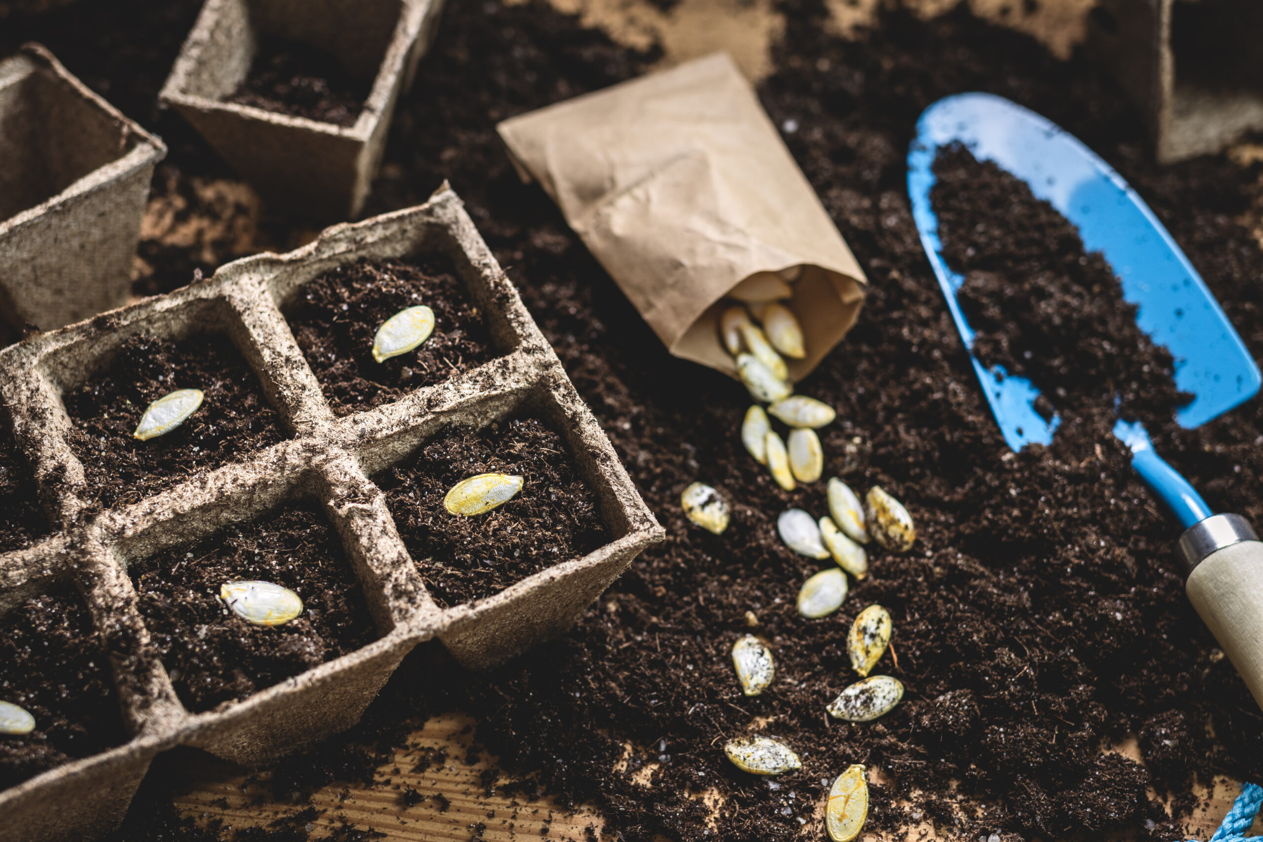 Free Guide: Seed Starting – Mother Earth News Staging